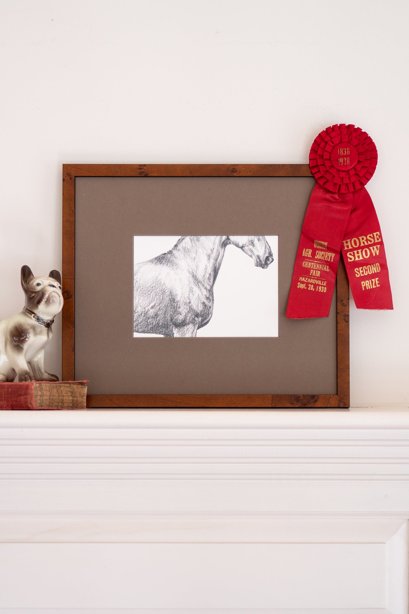 Conformation (In Focus) Prints – Danielle Demers Studio