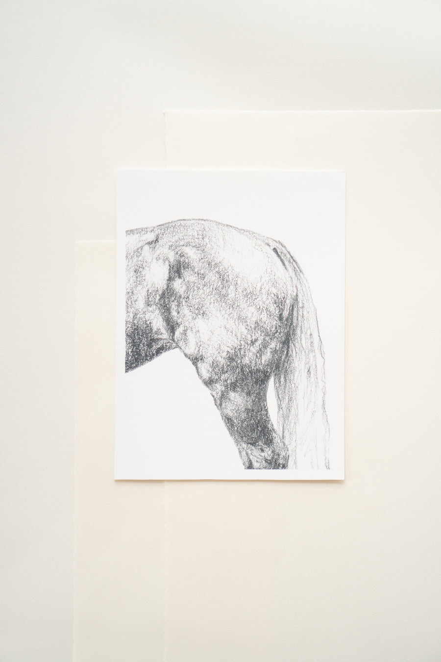 Conformation (In Focus) Prints – Danielle Demers Studio